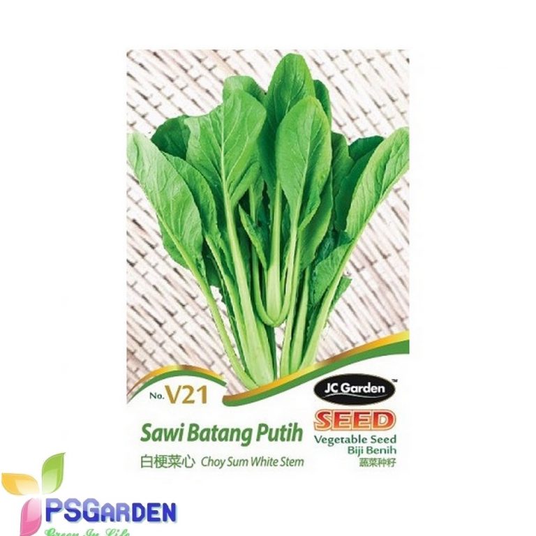 Choy Sum – Poh Soon Garden Sdn. Bhd.